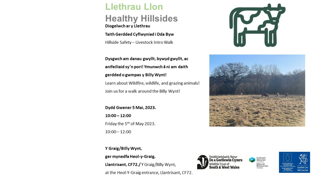 Diogelwch ar y Bryniau - Taith Gerdded a Chyflwyn/Hillside Safety ...